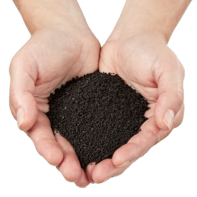 Worm Castings, Worms & Worm Bags – Tampa Home & Garden Store