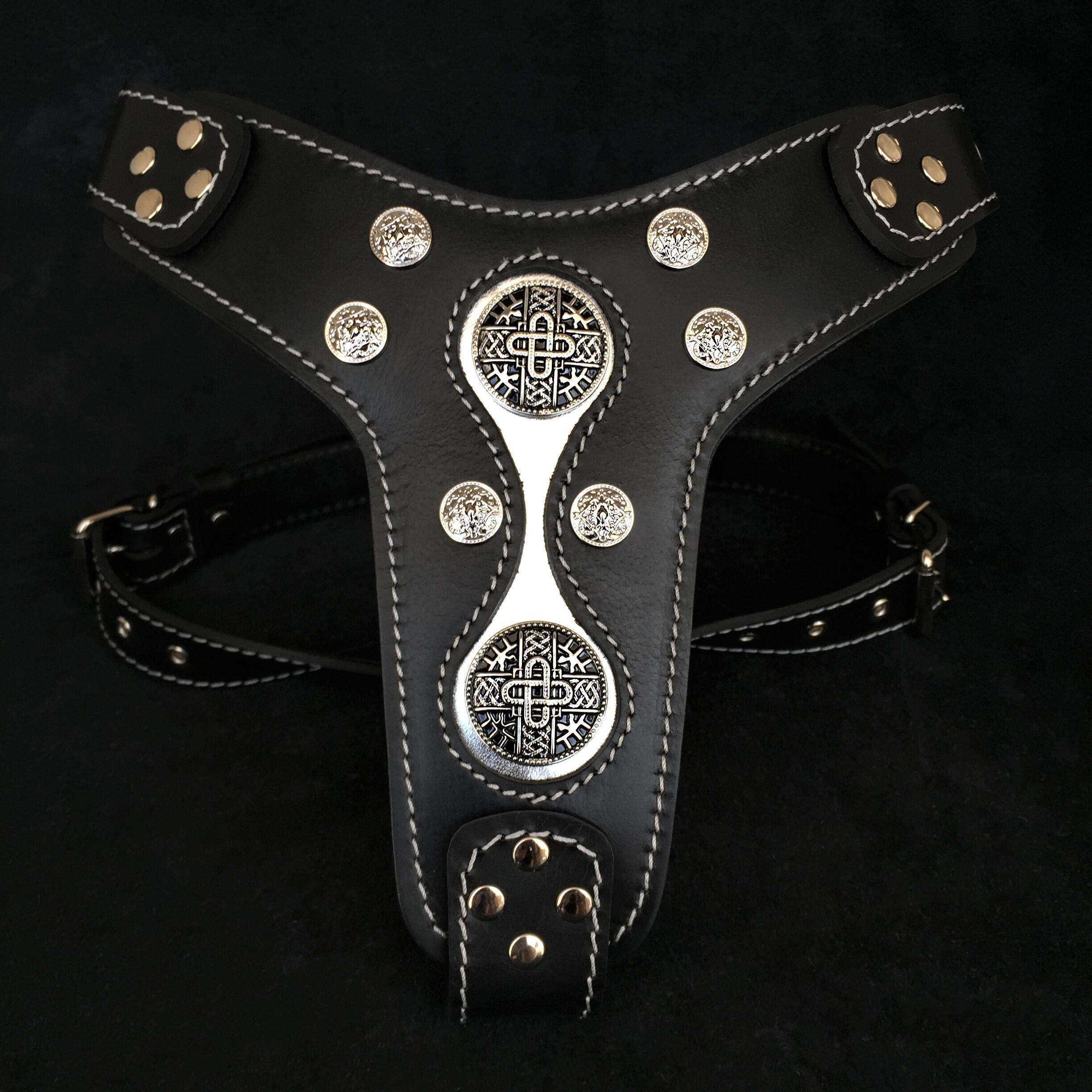 The "Hektor" harness – Tampa Home & Garden Store