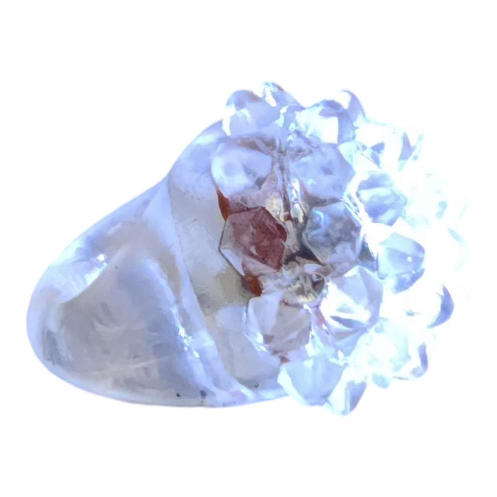 Bling Ring – Tampa soil911.com